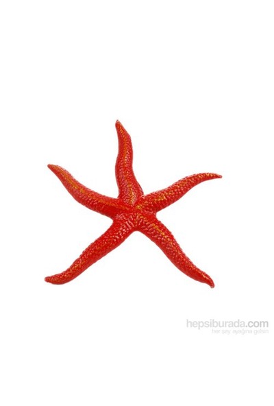 Akvaryum Dekor Deniz Yıldızı