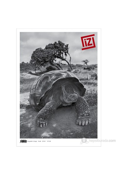 İz Dergisi Sayı: 46-Kolektif