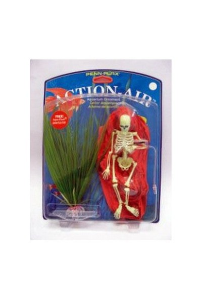 Hareketli İskelet + Plastik Bitki Hareketli İskelet + Plastik Bitki