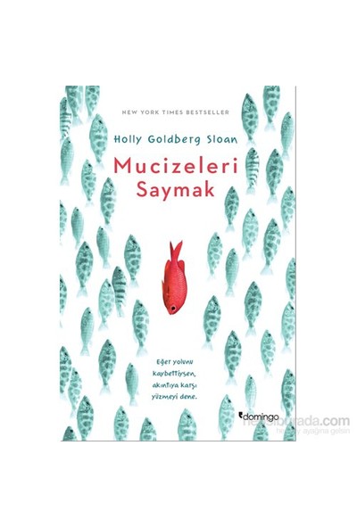 Mucizeleri Saymak - Holly Goldberg Sloan