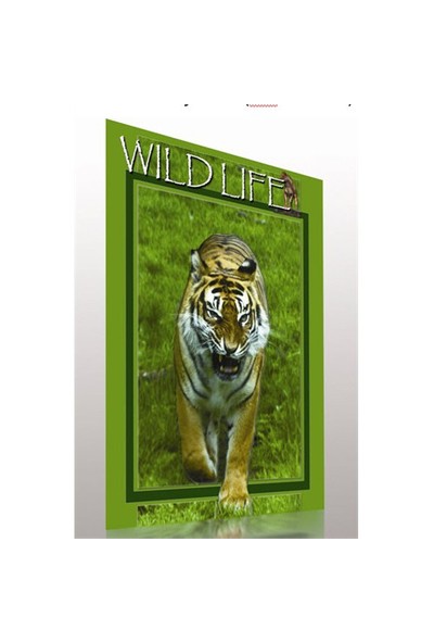 Wild Life (Karasal Hayvanlar) (VCD 10'lu Set) Wild Life (Karasal Hayvanlar) (VCD 10'lu Set)