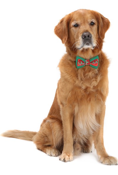 Dogi& Dog Yeni Yıl Köpek & Kedi Papyonları-Köpek Kiyafeti-Köpek Elbisesi-Kedi Kiyafeti-Kedi Elbisesi