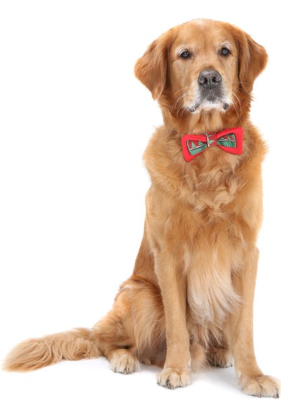 Dogi& Dog Yeni Yıl Köpek & Kedi Papyonları-Köpek Kiyafeti-Köpek Elbisesi-Kedi Kiyafeti-Kedi Elbisesi