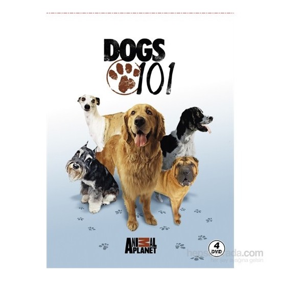 Dogs 101 (DVD) Fiyatı, Taksit Seçenekleri ile Satın Al