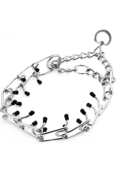 Lion Pet Köpek Eğitim Tasması 3MM*50CM