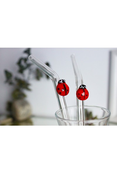 Adamodart Uğur Böceği Cam Pipet 2’li Set Adamodart Uğur Böceği Cam Pipet 2’li Set