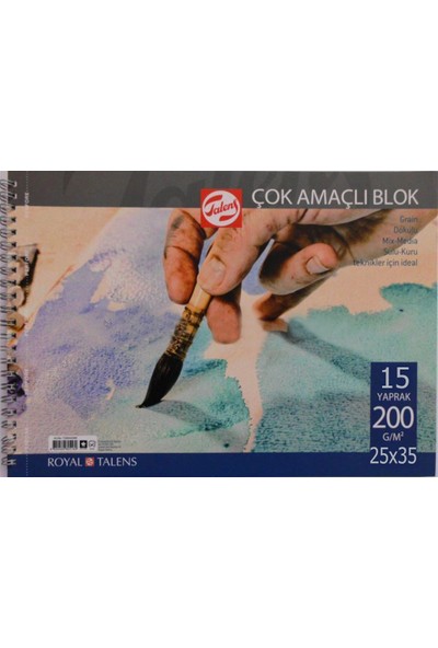 Talens : Çok Amaçlı Resim Defteri : 200 gr : 25 cm x 35 cm : 15 Yaprak