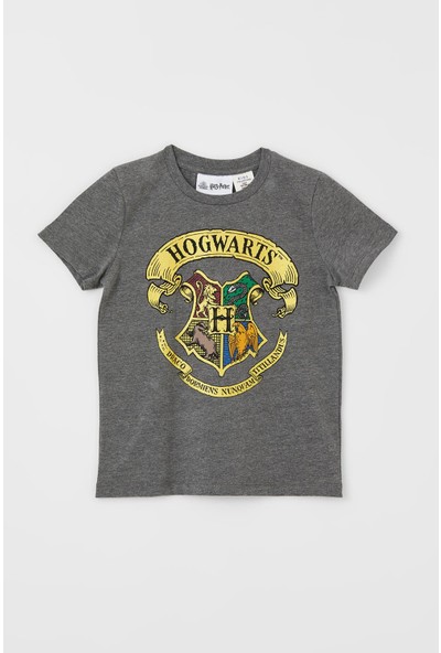 Defacto Erkek Çocuk Harry Potter Lisanslı Kısa Kollu Tişört U6294A621SM