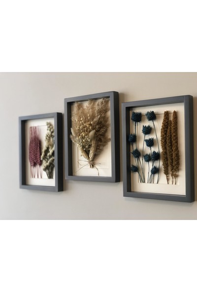 Florbar Kuru Çiçekli 3'lü Siyah Çerçeveli Tablo Seti