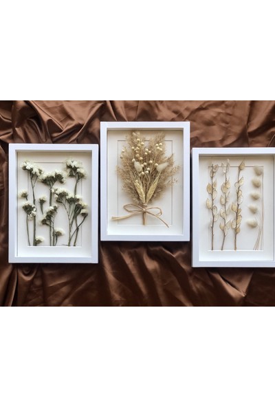 Florbar Kuru Çiçekli 3'lü Beyaz Tablo Seti