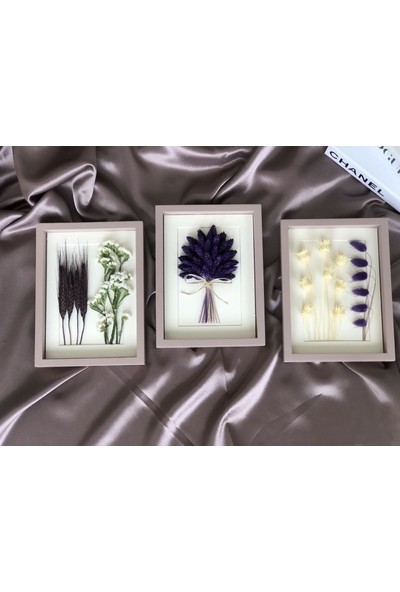 Florbar 3'lü Kurutulmuş Çiçekli Lila Çerçeveli Tablo Seti