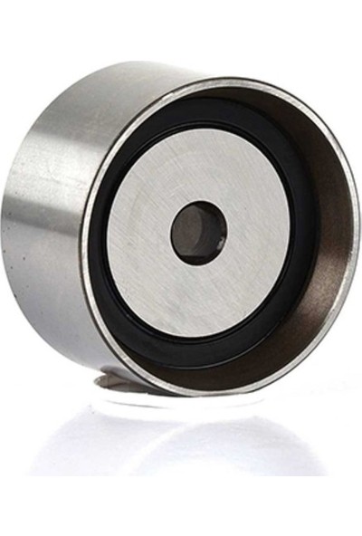 Braxis Gates T43117 Eksantrık Gergı Rulmanı