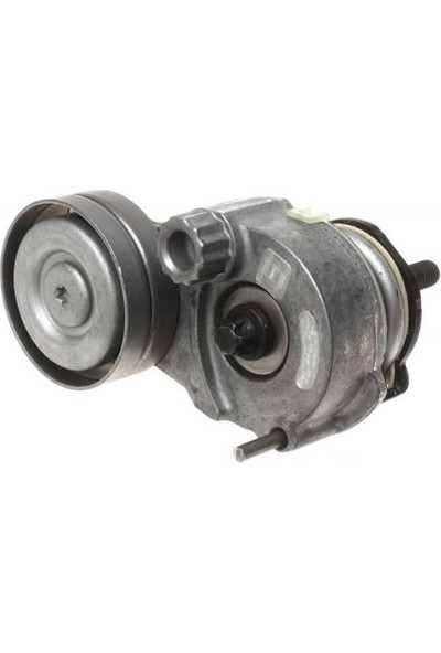 Braxis Gates T38427 Alternator Gergı Rulmanı Komple Braxis Gates T38427 Alternator Gergı Rulmanı Komple