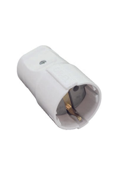 Orel Topraklı Dişi Fiş