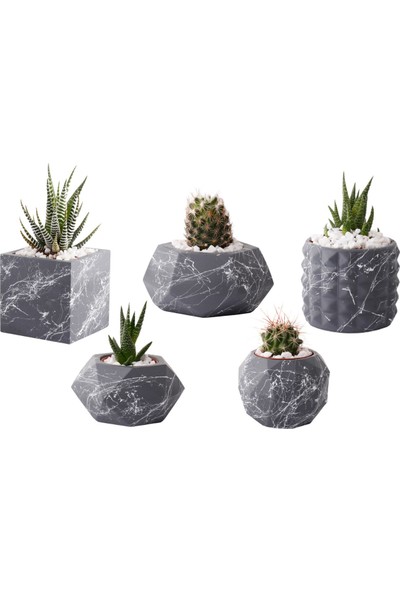 Met Dekorasyon Saksı Beton Saksı Seti Mermer Desenli Kaktüs ve Sukulent Saksı Seti Met Dekorasyon Saksı Beton Saksı Seti Mermer Desenli Kaktüs ve Sukulent Saksı Seti
