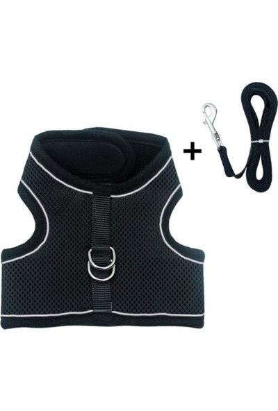 Hediye Ofisi Kedi Bel Tasması + Gezdirme Kayışı