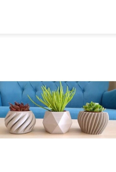 Beriş Bahçem Dekor 3'lü Doğal Ham Beton Dekoratif Saksı Sukulent Seti