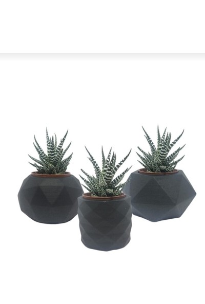 Beriş Bahçem Dekor 3'lü Siyah Beton Saksı Seti Kaktüs Sukulent Saksısı 3lü Siyah Set