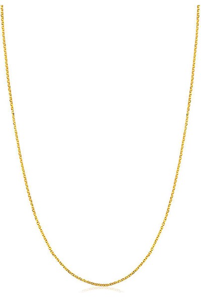 Bilezikci 45 Cm. 22 Ayar Altın Zincir