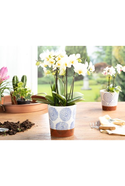 English Home Circle Saksı 13.2X13.2X14 cm Mavi English Home Circle Saksı 13.2X13.2X14 cm Mavi