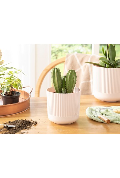 English Home Bloom Plastik Saksı 14X14X13 cm Pudra English Home Bloom Plastik Saksı 14X14X13 cm Pudra