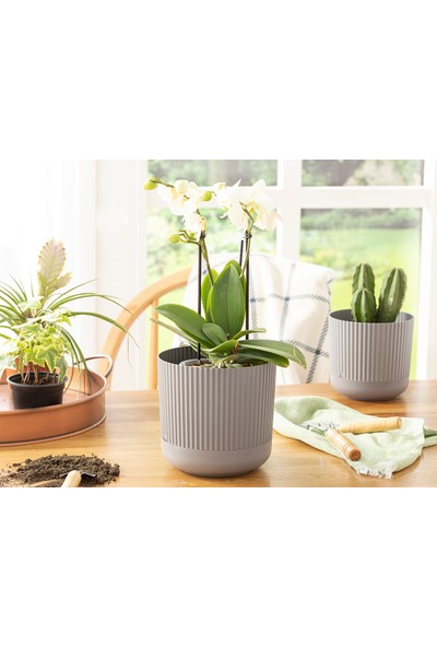 English Home Bloom Plastik Saksı 16X16X15 cm Antrasit English Home Bloom Plastik Saksı 16X16X15 cm Antrasit