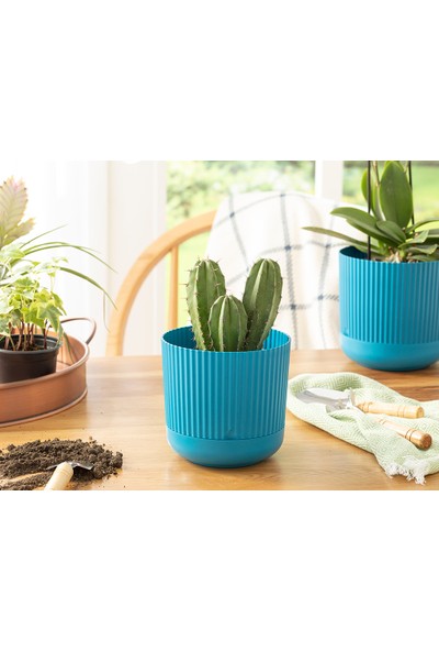 English Home Bloom Plastik Saksı 14X14X13 cm Mavi English Home Bloom Plastik Saksı 14X14X13 cm Mavi