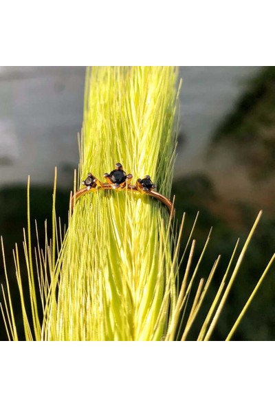Çağdaş Kuyumculuk Siyah Taşlı Tel Yüzük