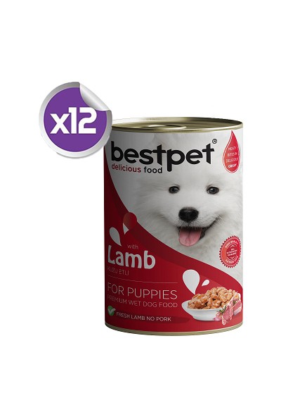 Bestpet Kuzu Etli Konserve Yavru Köpek Maması 12 x 400 gr Bestpet Kuzu Etli Konserve Yavru Köpek Maması 12 x 400 gr