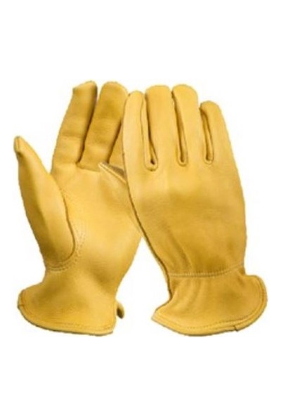 Campout Dana Derisi Eldiven X-Large