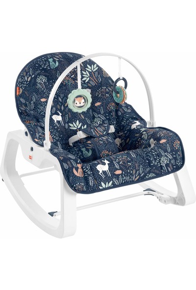 Fisher-Price Bebek Küçük Çocuk Sallanan Sandalye (Yurt Dışından)