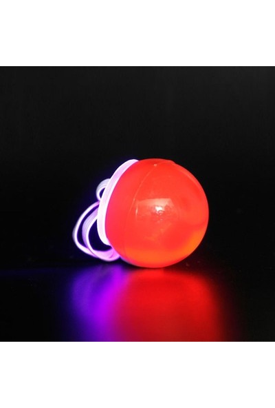 Anka Palyaço Burnu Işıklı