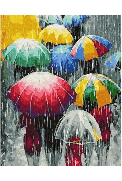 Patladı Gitti Sağanak Tuvale Gerili Sayılarla Boyama Hobi Seti 40X50 cm