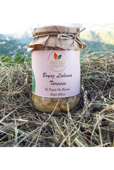 Habu Organik Doğal Fermente Beyaz Lahana Turşusu 535 gr Habu Organik Doğal Fermente Beyaz Lahana Turşusu 535 gr