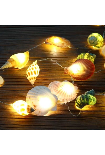 Turkuaz Hediyelik Şerit LED Duvar Dekoru Aydınlatma Gerçek Deniz Kabuğu-3 mt