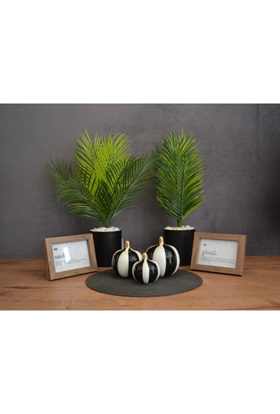 Mesa 3'lü Dekoratif Kabak Biblo Mesa 3'lü Dekoratif Kabak Biblo