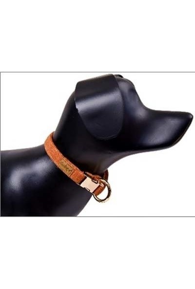 Dubex G-Dog Köpek Boyun Tasması Turuncu M-L 35-56 cm 20 mm