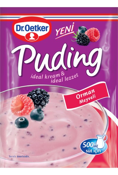 Dr.oetker Puding Orman Meyveli