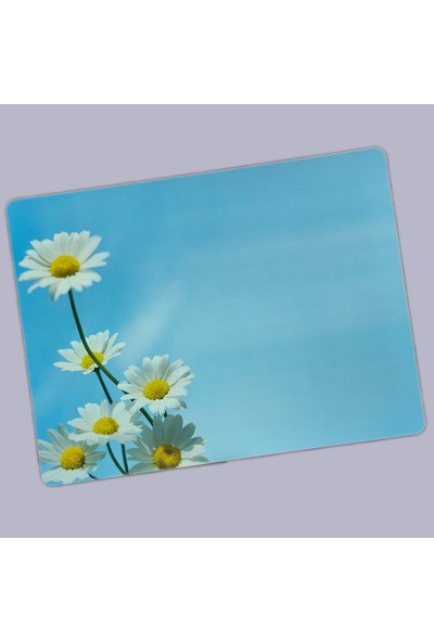 Nice Home Art Daısy Amerikan Servis 2'li Pvc