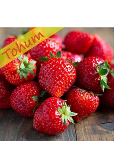 Agrodal Tarım Çilek Tohumu 0.1 gr Yaklaşık 120 Adet