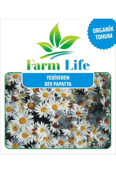 Farm Life 100 Adet Yediveren Dev Papatya Tohumu Farm Life 100 Adet Yediveren Dev Papatya Tohumu
