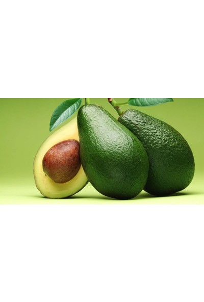Sufinin Bahçesi Avokado 15'li