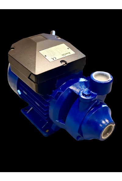 Amega Tm 100 1 Hp 1'' Preferikal Sürtme Fanlı Pompa Amega Tm 100 1 Hp 1'' Preferikal Sürtme Fanlı Pompa