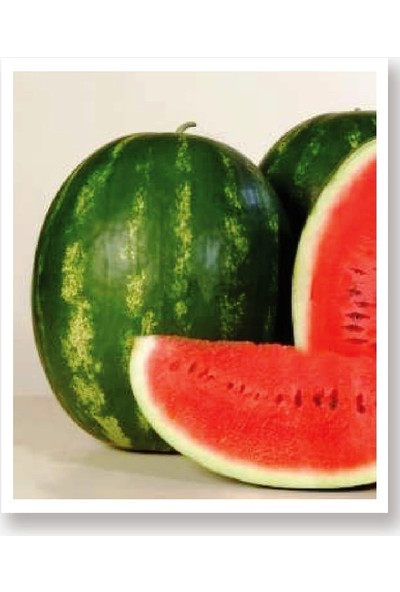 Agrodal Tarım Ata Tohumu Doğal Yerli Diyarbakır Kapruzu 100 Adet Tohum