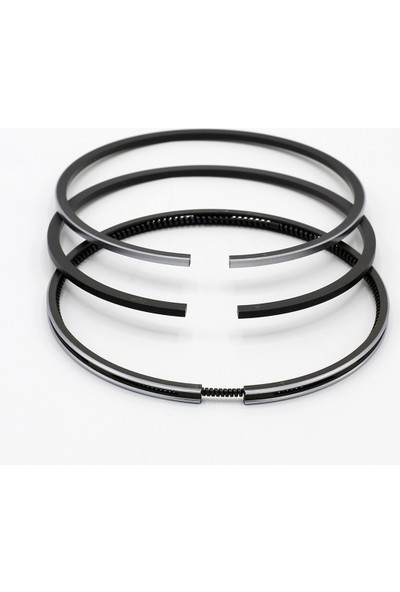 MOTOKENT SEGMAN SETİ (0.50-ÇAP:98.925 mm):LISTER/PETTER/TR-1/TR-2/TR-3