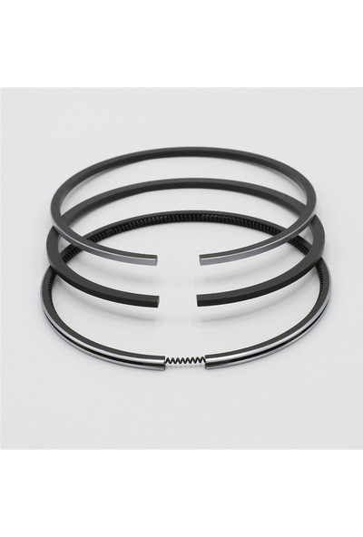 MOTOKENT SEGMAN SETİ (1.00-ÇAP:101.00 mm):LISTER/PETTER/TX-1/TX-2/TX-3 MOTOKENT SEGMAN SETİ (1.00-ÇAP:101.00 mm):LISTER/PETTER/TX-1/TX-2/TX-3