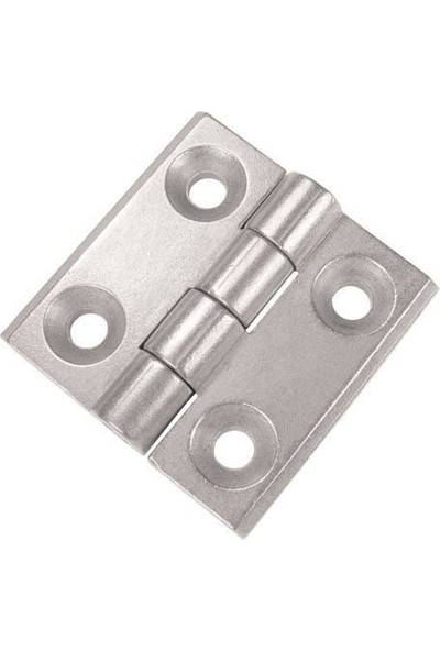 Kartal Marin Paslanmaz Yaprak Menteşe A4 Kalite 40 mm