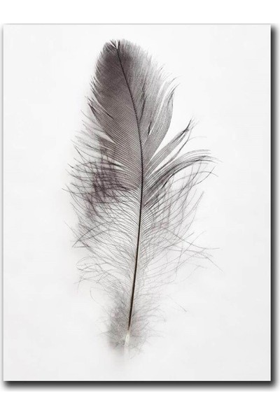 Tablo Plus Feather Yağlı Boya Dokulu Tablo 75CM x 100CM Siyah Tablo Plus Feather Yağlı Boya Dokulu Tablo 75CM x 100CM Siyah