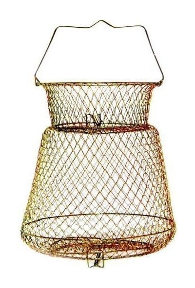 Sea Horse Livar 33'lük Sea Horse Livar 33'lük