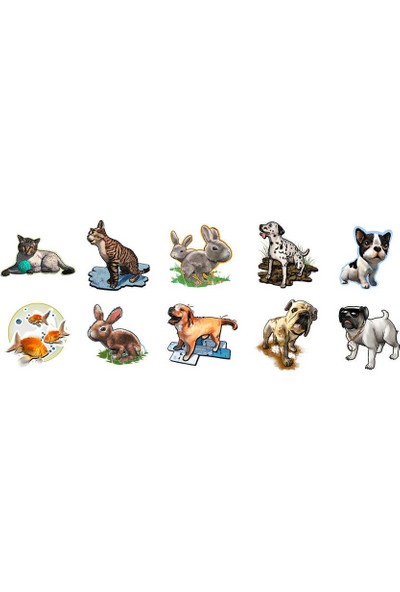 HoloToyz Holo Toyz Holotoyz Tattoo Pet Party Ar Uyumlu Geçici Dövme HoloToyz Holo Toyz Holotoyz Tattoo Pet Party Ar Uyumlu Geçici Dövme